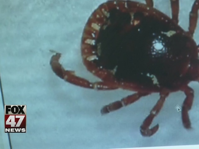 New tick moving into Michigan