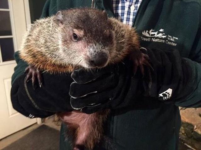 Michigan groundhog's prediction: 6 more weeks of winter - FOX 47 News ...