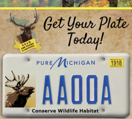 Elk license plates now available - FOX 47 News WSYM Lansing, Jackson