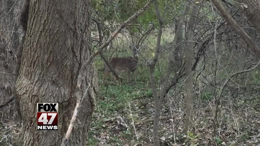Fewer people are hunting in Michigan - FOX 47 News WSYM Lansing, Jackson
